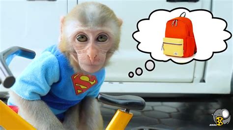 ویدئو کارتونی ماجراهای بچه میمون بازیگوش بامزه فیلو