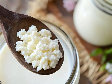 Búlgaros De Leche Qué Son Para Qué Sirven Y Por Qué Benefician Tu