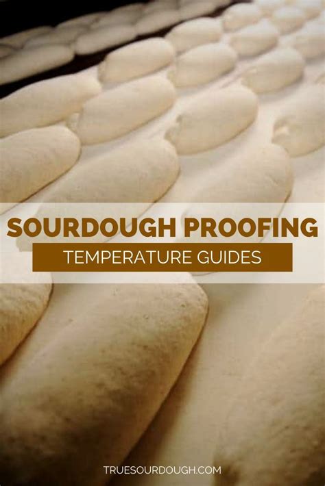 Sourdough Proofing Temperature Guides