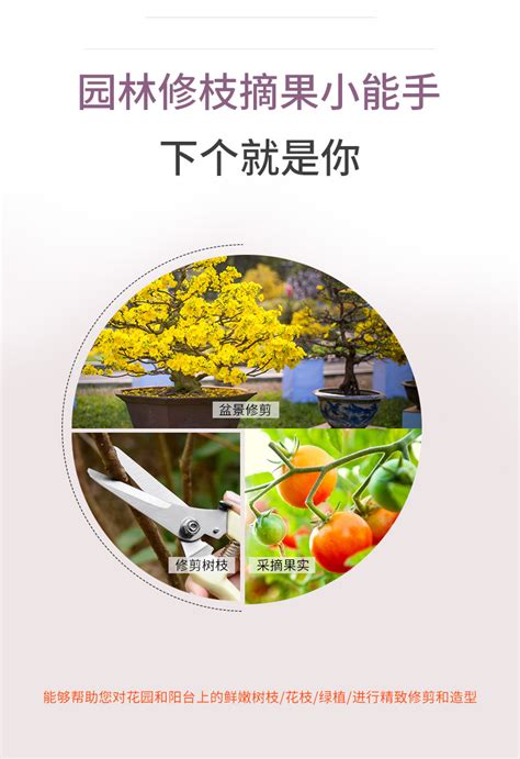 园林工具修枝剪园林剪花枝盆景剪刀园艺剪刀多功能树枝剪修枝剪刀 阿里巴巴 园林工具修枝剪园林剪花枝盆景剪刀园艺剪刀多功能树枝剪修枝剪刀 阿里巴巴
