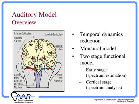 ppt computational spectro temporal auditory model powerpoint