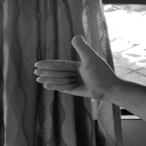 Hand Gesture Recognition Object Detection Dataset By New Workspace X Uxd