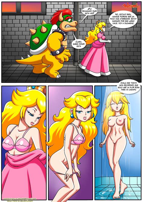 Palcomix The Mushroom Kingdom Secret Super Mario Bros