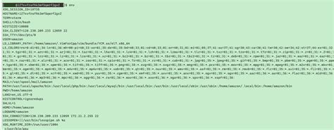 Linux环境变量linux查看环境变量 Csdn博客