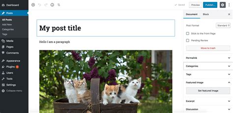Managing Wordpress Metadata In Gutenberg Using A Sidebar Plugin Css