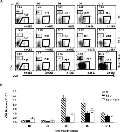 Figure 3 From Tec Kinases Itk And Rlk Are Required For Cd8 T Cell Responses To Virus Infection