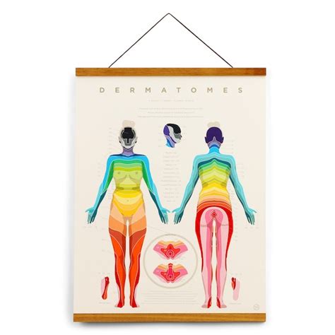 Vitamin Cheat Sheet Etsy Canada