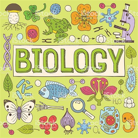 Biology Hand Drawn Colorful Vector Illustration With Doodle Icons Artofit