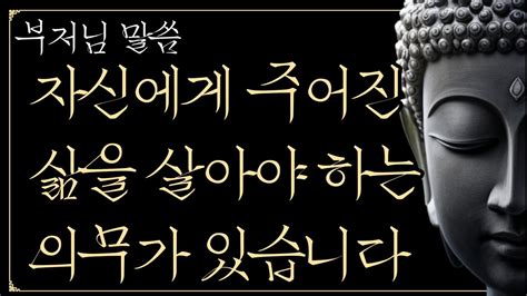 모든 사람은 자신에게 주어진 삶을 살아야 하는 의무가 있습니다 부처님말씀 Youtube