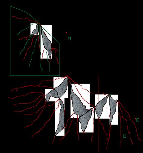 Fracture Patterns Around Drilled Wells Heterogeneity And Connectivity Download Scientific
