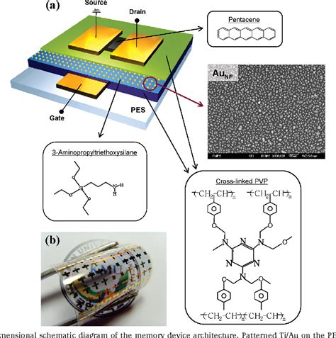 Figure 1 From Flexible Organic Transistor Memory Devices Semantic