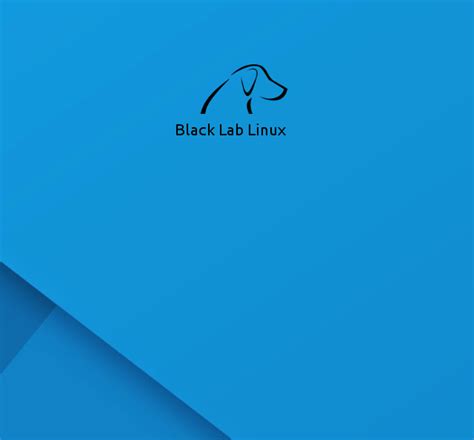black lab enterprise linux 11 0 3 ubuntu based operating system now