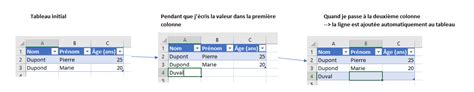 Inserer Une Ligne à La Fin Dun Tableau Excel Avec Vba Macros Et Vba