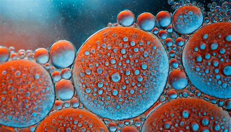 Premium Photo Closeup Of Body Cells Under Microscope Red And Blue Colors Microscopic Molecules