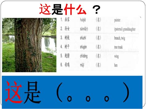Обучение аудированию и диалогической речи Урок 1 китайский язык на материале учебник а