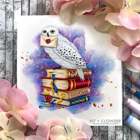 Owl Mini Class Kit And Clowder