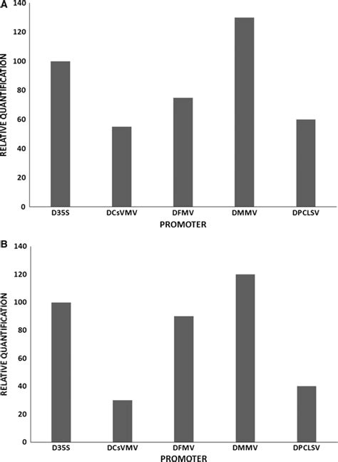 Relative Quantification Of Gus Expression Transcript Using Rt Qpcr
