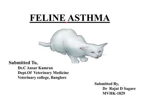 Feline Asthma Treatment And Diagnosis Ppt
