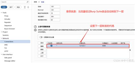 武装burp Suite工具：apikit插件接口安全扫描apikit Burp插件 Csdn博客