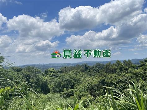 Yes319房屋市集 台灣319鄉 一網買進點點星光休閒地 ~ 總價：150000萬 ~ 苗栗縣大湖鄉