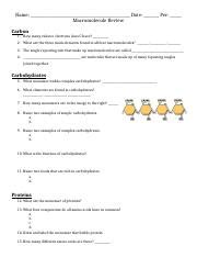 Jess Reid Copy Of Macromolecule Review Packet Docx Name Date Per Macromolecule Review