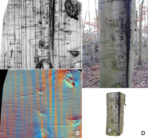 Tree No 9 A B Two Types Of Visualizations Of A Panel With Carvings C