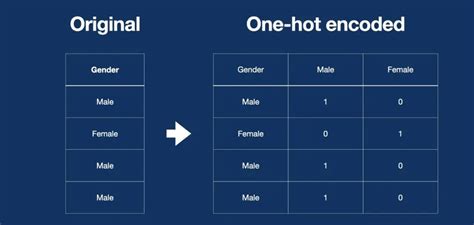 神经网络算法 一文搞懂one hot encoding（独热编码） csdn博客