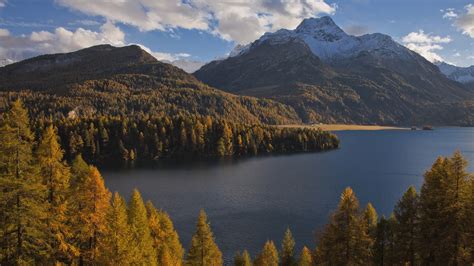 배경 화면 알프스 실 호수 스위스 숲 가을 1920x1200 그림 이미지