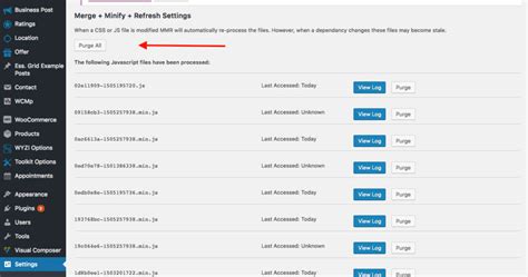 Clearing Minified CSS JS Files WYZI Documentation
