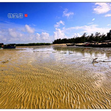 2020特呈岛门票 湛江特呈岛游玩攻略 特呈岛游览攻略路线 地址 门票价格 【去哪儿攻略】