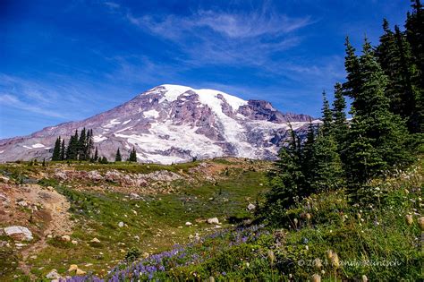 Use Python And Bulk Insert To Quickly Load Data From Csv Files Into Sql Server Tables By Randy