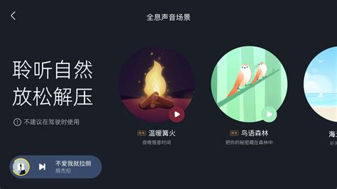 好音质好音效好沉浸，酷我音乐车载 60 新版全面升级 极客公园