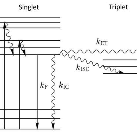 Jablonski Diagram Of Molecular Energy Levels And Transition Rates