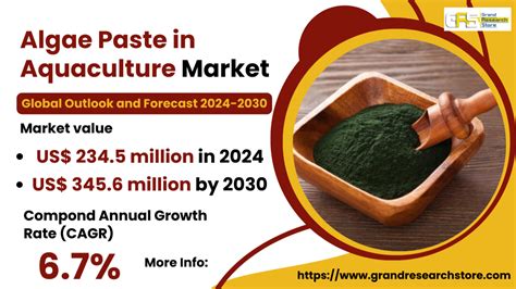Global Algae Paste In Aquaculture Market Analysis Trends Growth And Forecast 2024 2030