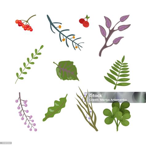 추상적 인 잎과 열매 세트 벡터 일러스트레이션 0명에 대한 스톡 벡터 아트 및 기타 이미지 0명 계절 과일 Istock