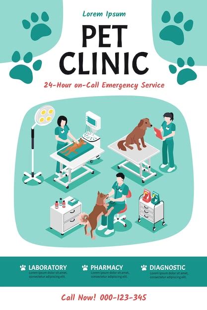 Veterinary Infography Images Free Download On Freepik