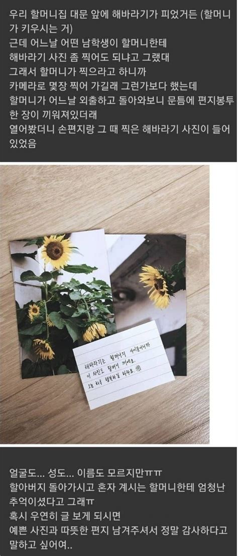 학생이 놓고 간 해바라기 사진 Xxxxxx