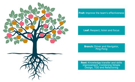 The Root Branch Leaf And Fruit Of Pair Programming Part 1