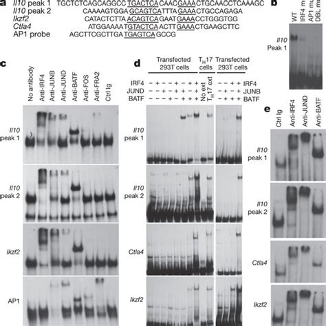 Preferential Irf4 Binding To Ap1 Motifs In T Cells A E Irf4 Motifs In Download Scientific