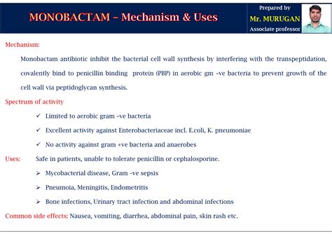 Mc Iii Unit 1 Part 6 Monobactam Pdf