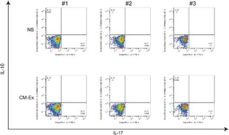 Cm Exs Did Not Induce Il 10 Or Il 17 In Cdt Cells Representative