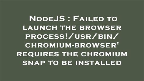 Nodejs Failed To Launch The Browser Process Usr Bin Chromium Browser Requires The Chromium
