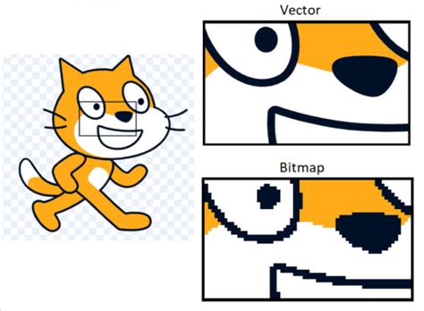 Vector Vs Bitmap What Is The Best Image Type To Use In Scratch BrightChamps Blog