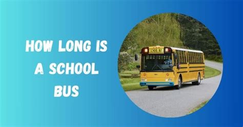 How Long Is A School Bus A Complete Guide To School Bus Sizes For