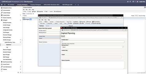 oracle primavera unifier组合管理器 portfolio manager oracle primavera