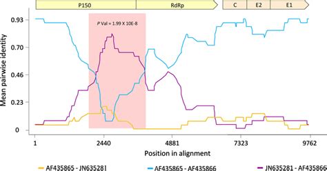 Pairwise Identity Plot Of The Potential Recombination Event Detected In Download Scientific