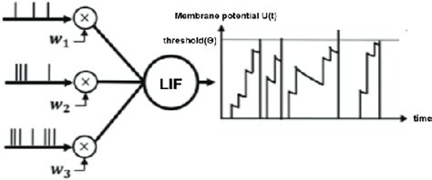 Figure 2 From Self Supervised Contrastive Learning In Spiking Neural Networks Semantic Scholar