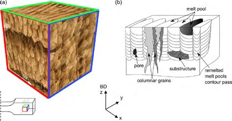 3 Dimensional Representation Of The Microstructure Of The Selective