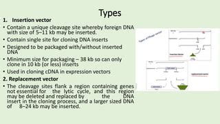 Lambda Bacteriophage Pptx Biotech And Biomedical Industry Industries