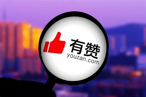 有赞微商城是什么？ 知乎